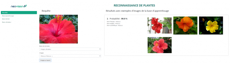 FLOWER RECOGNITION | Neovision